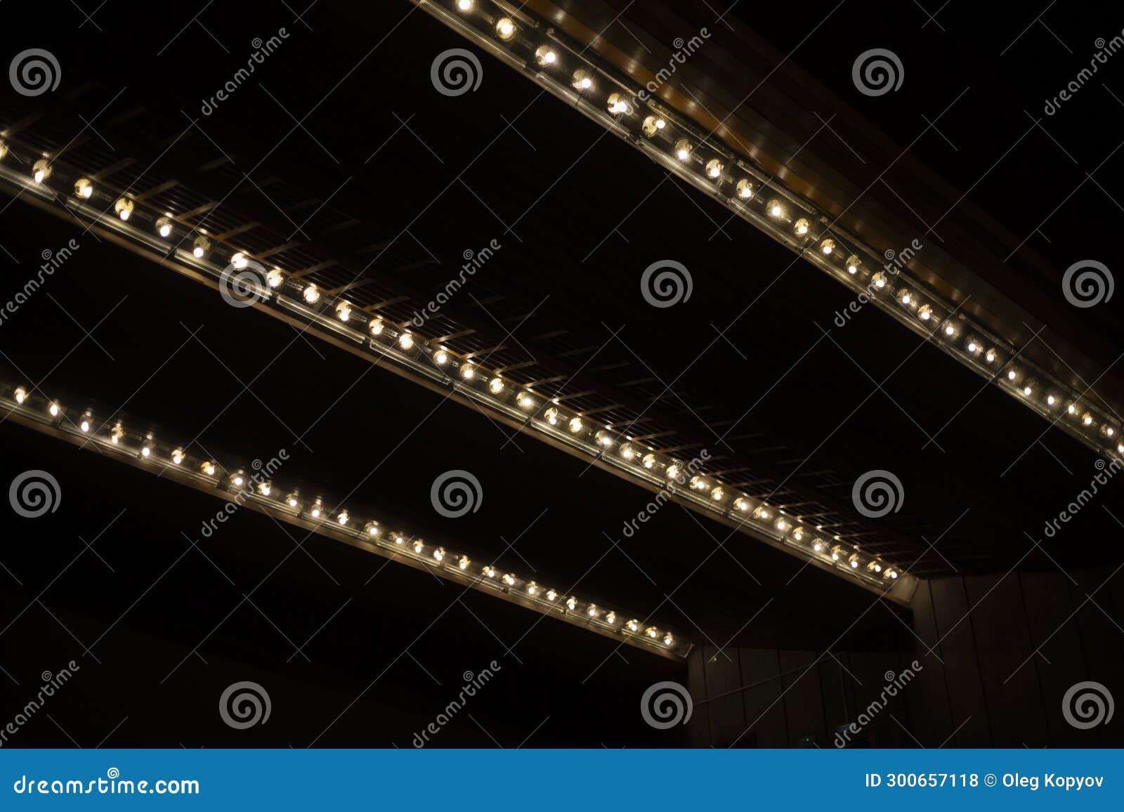 Lots of Small Lamps on the Ceiling of the Hall. Rows of Lamps Stock ...