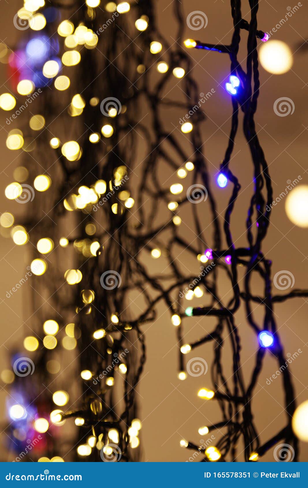 Lots of Small Led Lights Hanging from the Ceiling Stock Image - Image ...