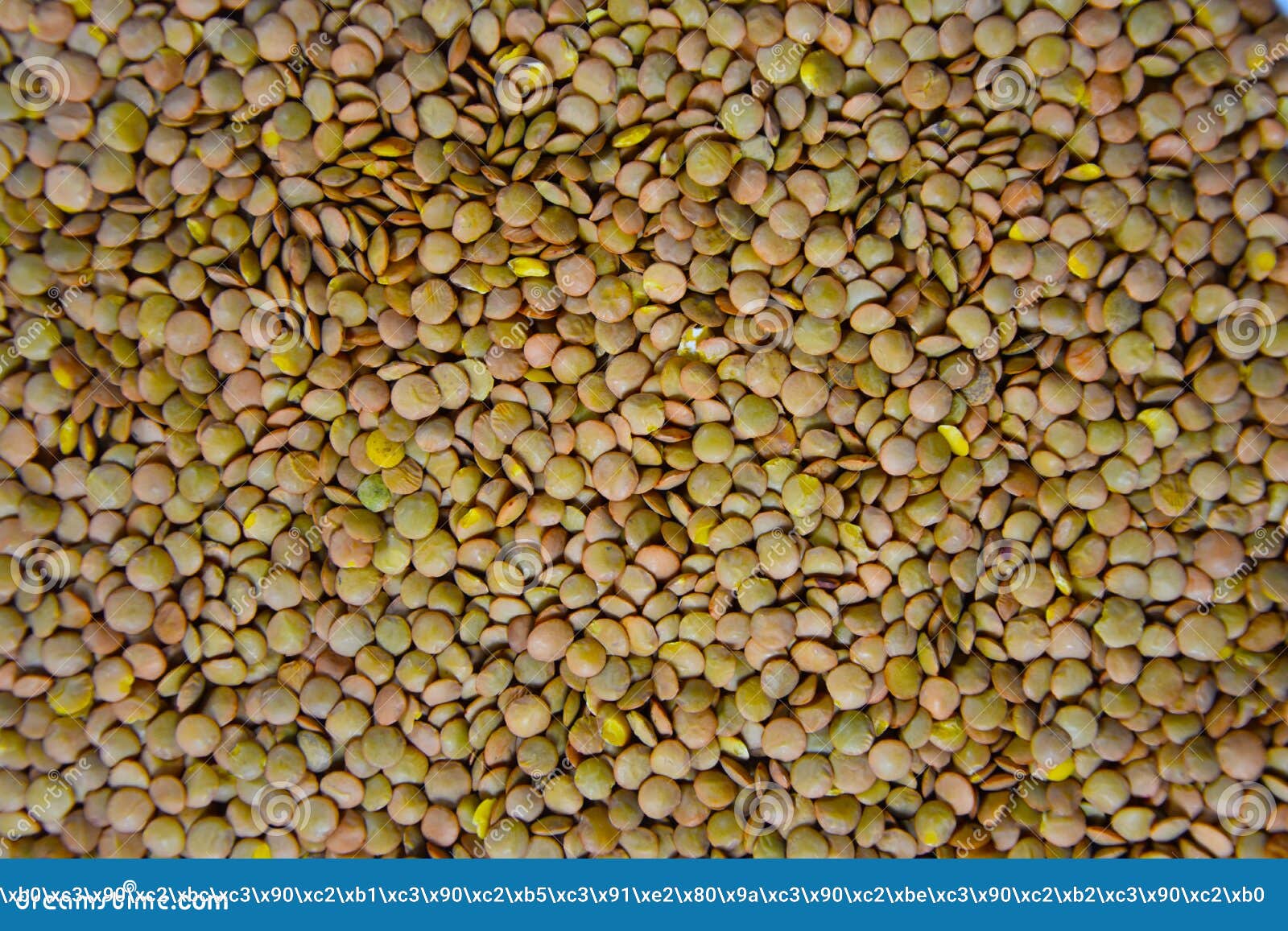 Lots of small yellow pea stock photo. Image of cereal - 221697594