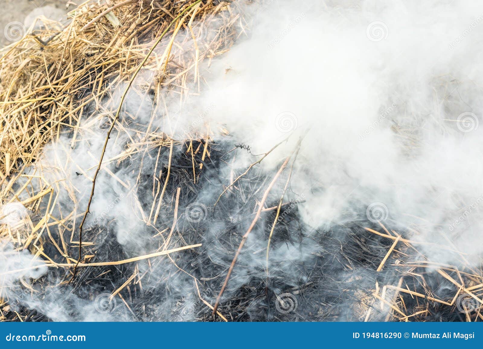 Lots of Smoke Cause of Fire Burn Stock Photo - Image of ground, flame ...