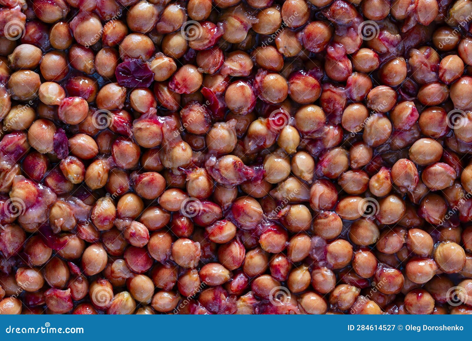 Lots of Sour Cherry Pits As a Background Closeup. Texture of Dried ...
