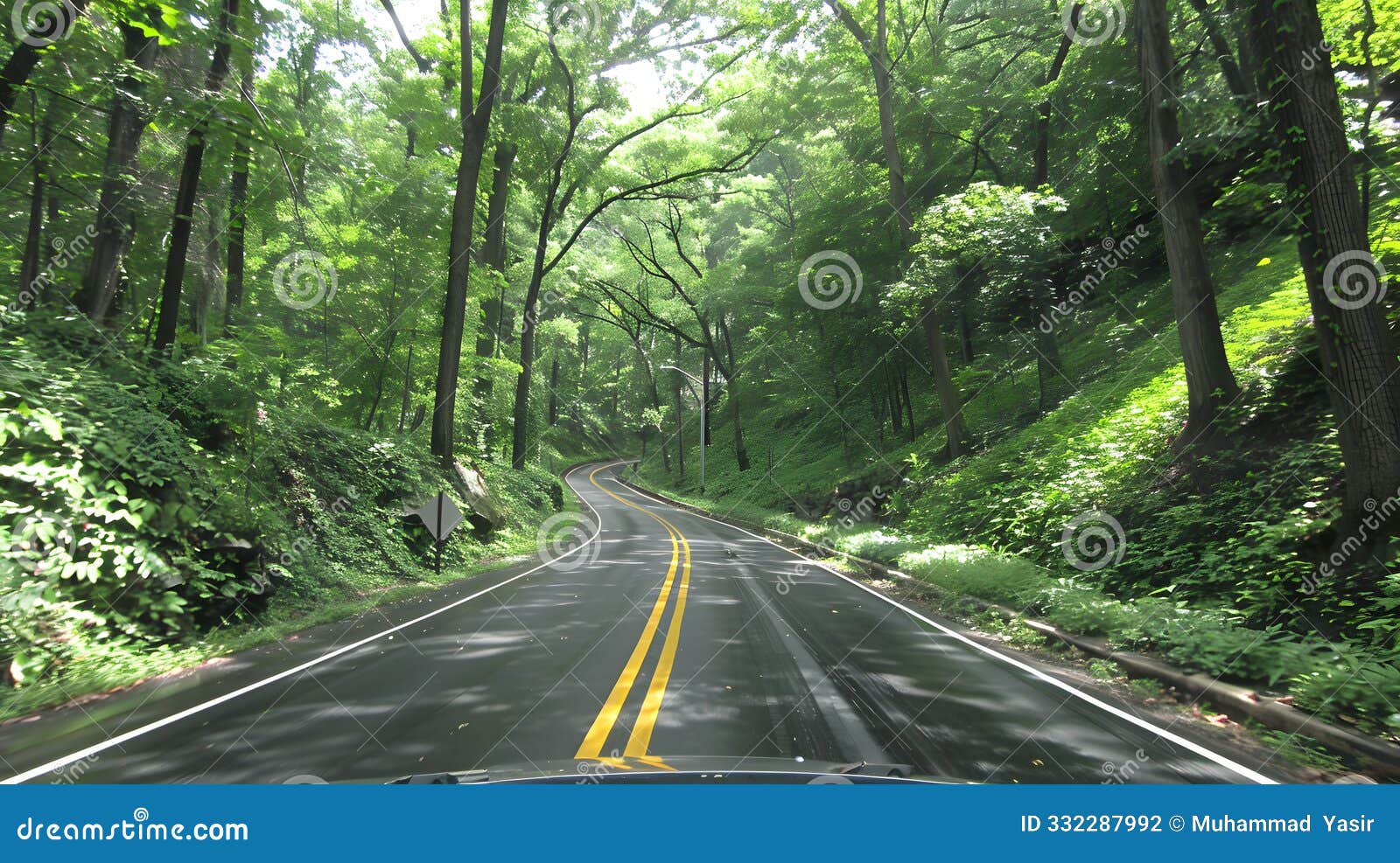 Lots of Trees Along the Highway Road Stock Photo - Image of view, high ...
