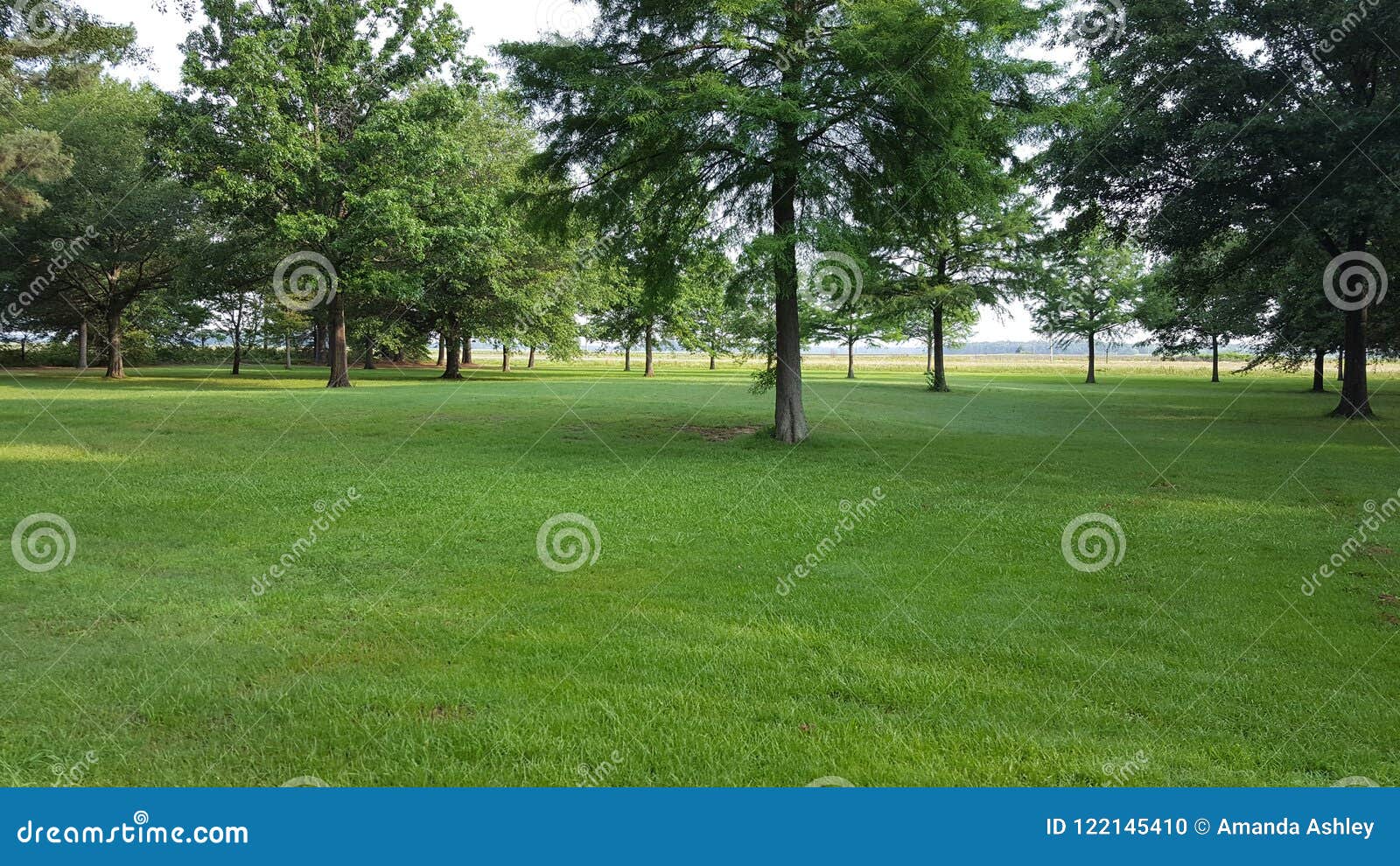 Wide open spaces stock photo. Image of spaces, wide - 122145410