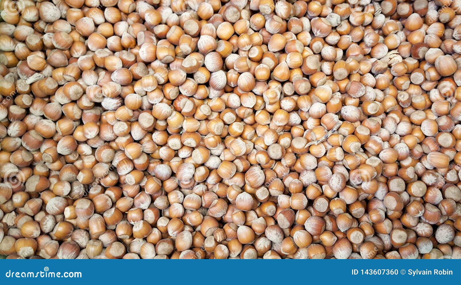 Lots of Walnut Natural Background Hazelnut Nuts Stock Photo - Image of ...