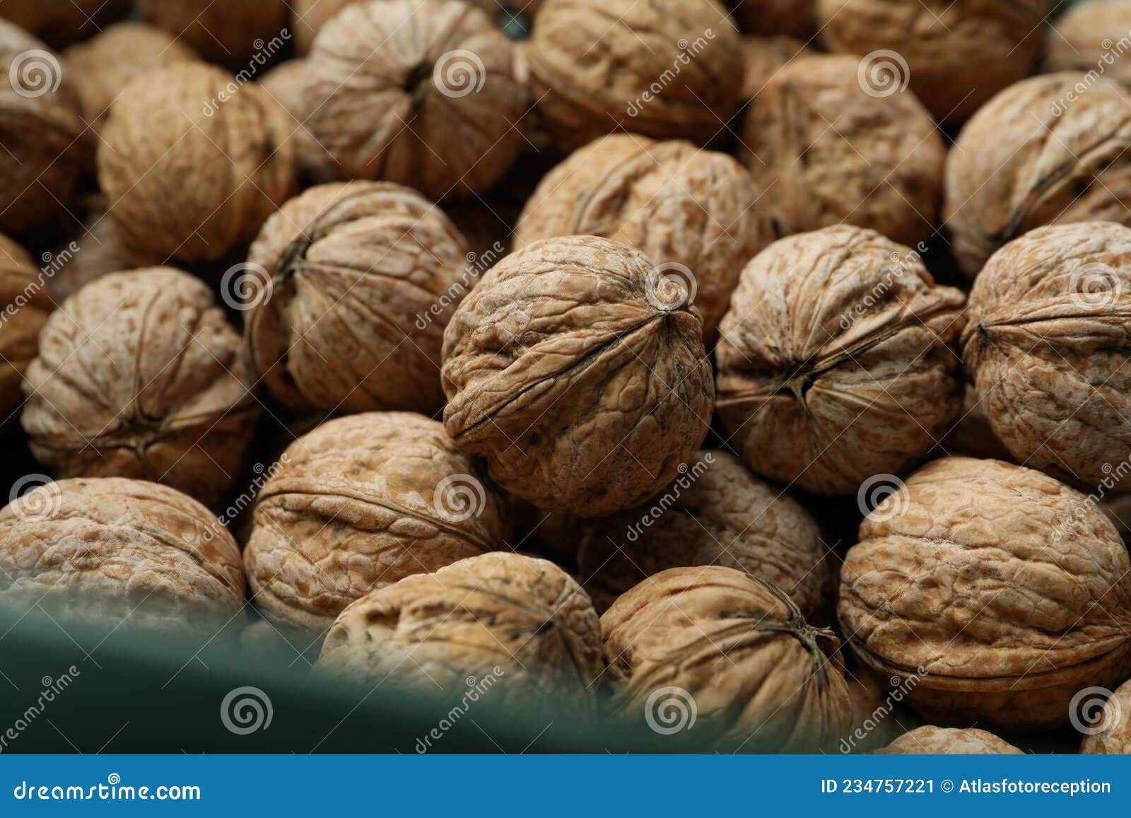Lots of Walnuts in Plastic Box, Close Up Stock Image - Image of shell ...