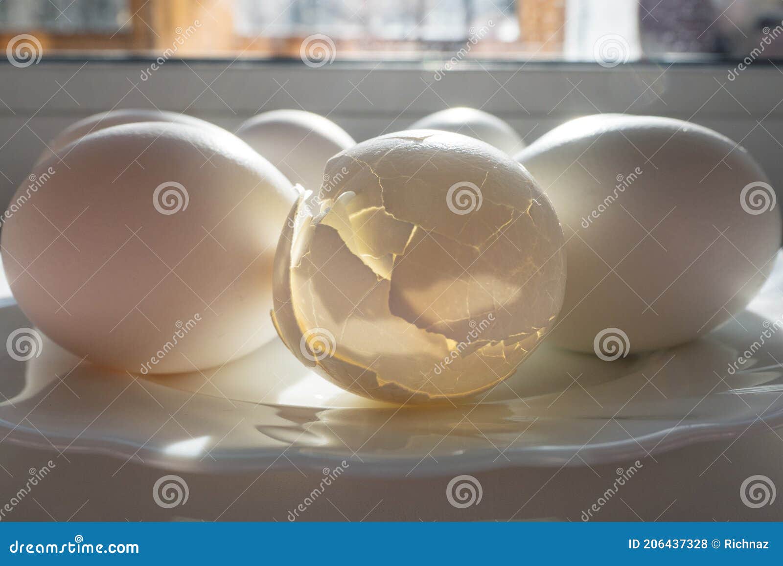 Lots of White Eggs and Eggshells in Close -up. the Concept of Birth and ...