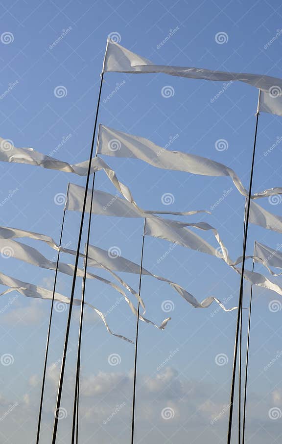 Lots of White Flags on Long Flagsticks Flapping in the Wind Stock Photo ...