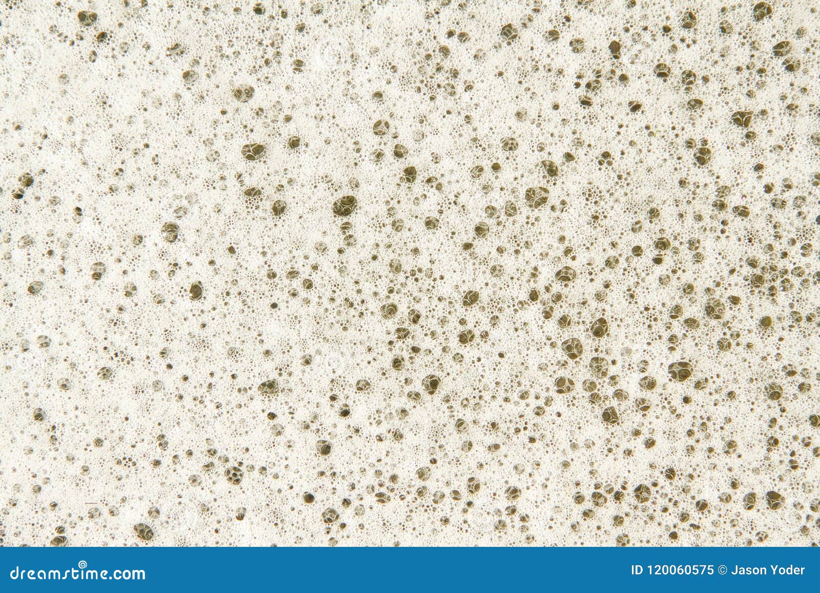 Lots of White Suds stock image. Image of clean, bubble - 120060575