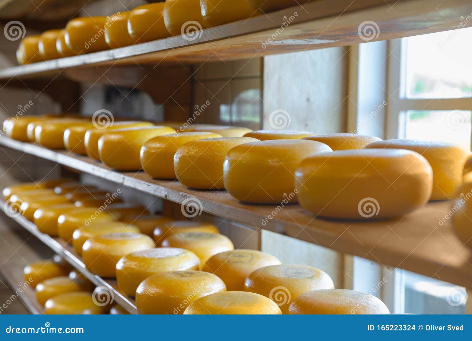 Lots of Whole Cheese in Factory Stock Photo - Image of industrial, meal ...