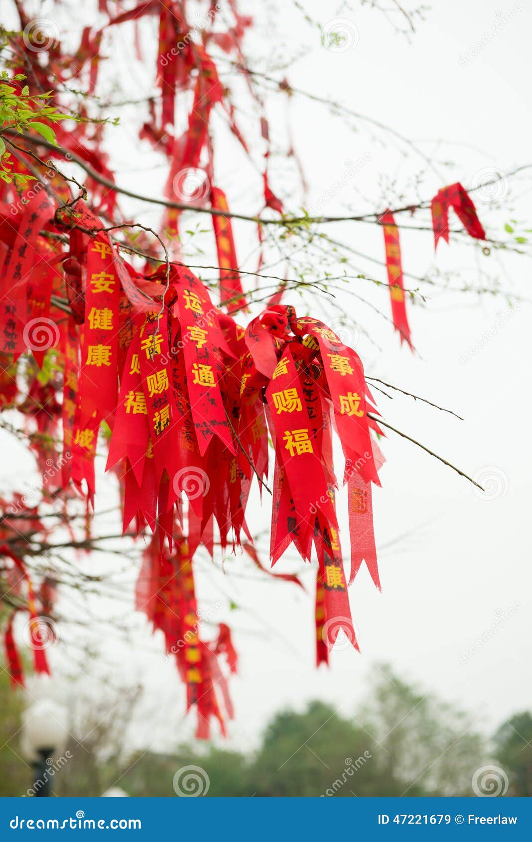 Lots of Wishing Ribbon Hanging Stock Image - Image of thanksgiving ...