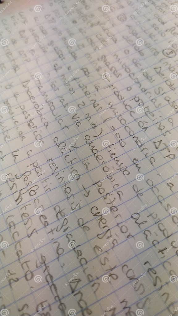 Lots of words stock photo. Image of document, pattern - 220114010