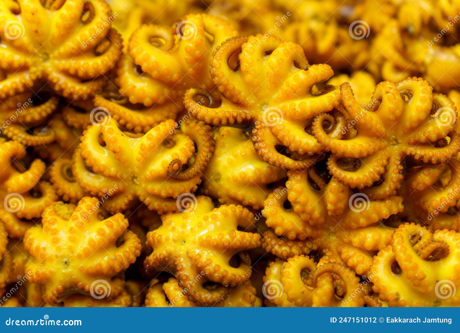 Yellow fried squid stock photo. Image of octopus, market - 247151012