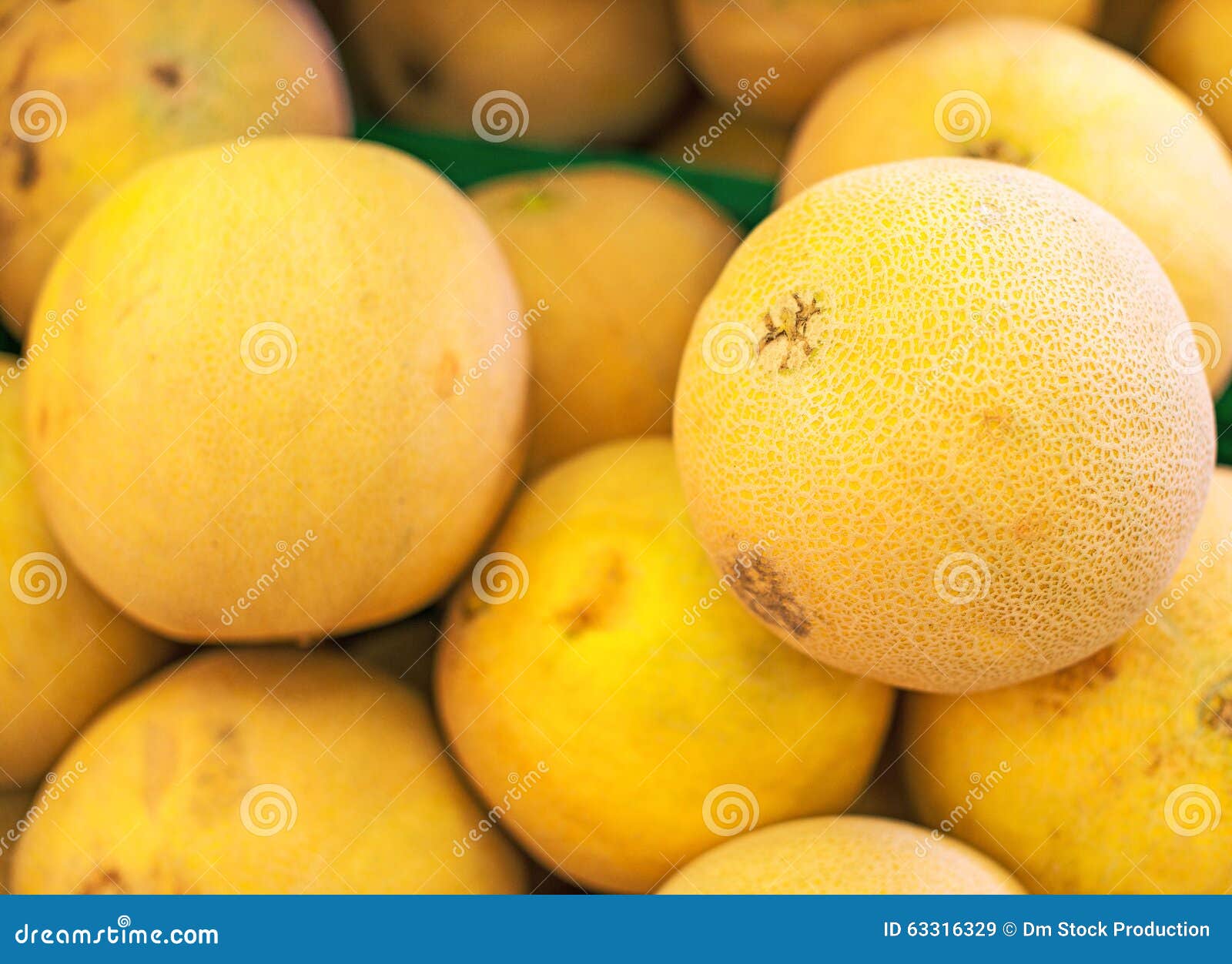 Lots of yellow melons. stock image. Image of gourmet - 63316329