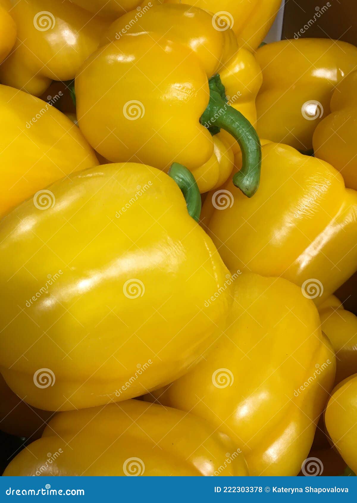 Lots of Yellow Sweet Big Bell Peppers Stock Photo - Image of closeup ...