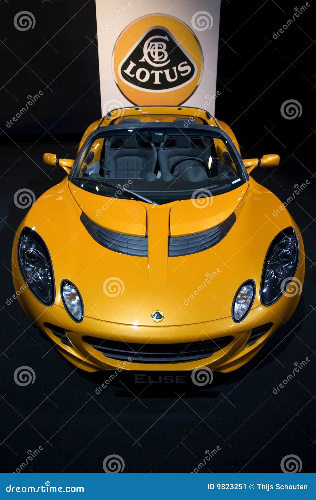Lotus editorial photo. Image of demonstration, event, expensive - 9823251