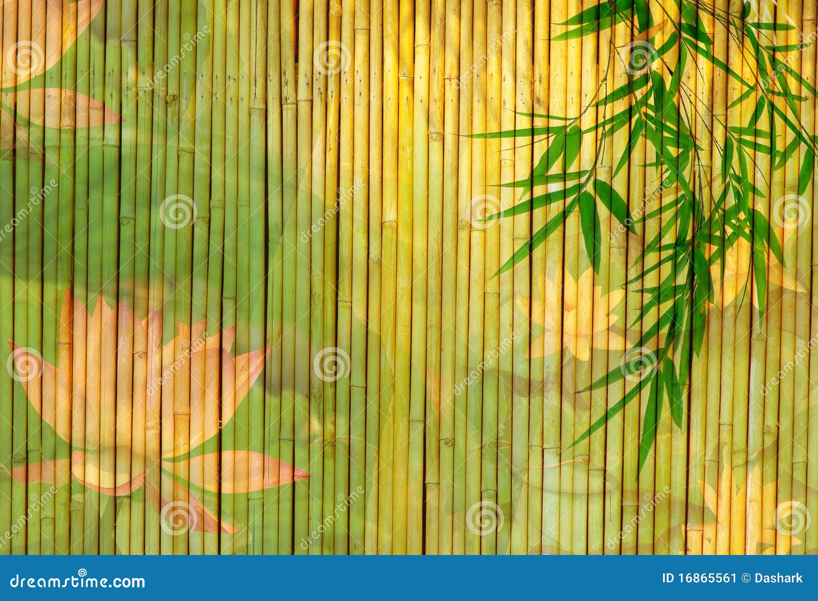 Lotus And Bamboo Royalty-Free Stock Photography | CartoonDealer.com ...
