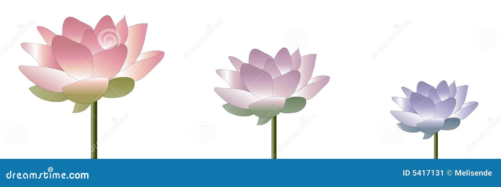 Lotus Banner stock illustration. Illustration of flowers - 5417131