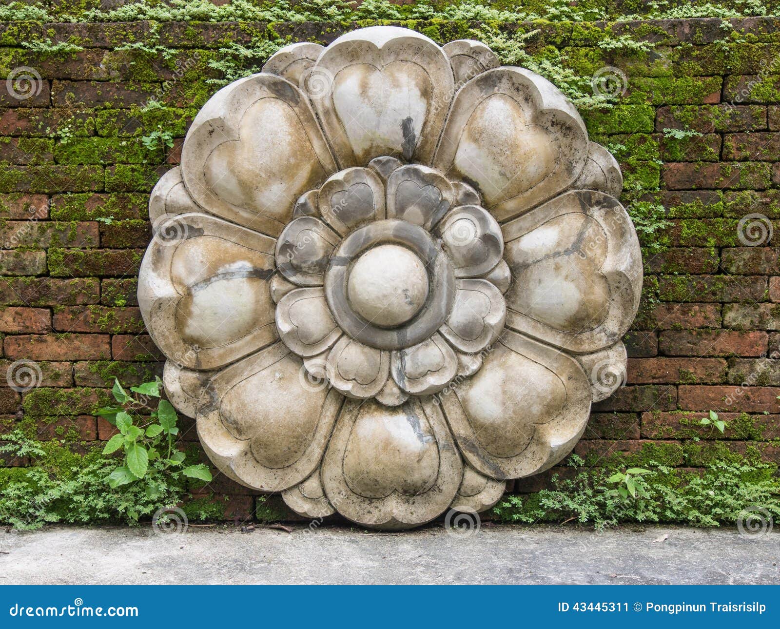 Lotus bas-relief on wall stock image. Image of lotus - 43445311