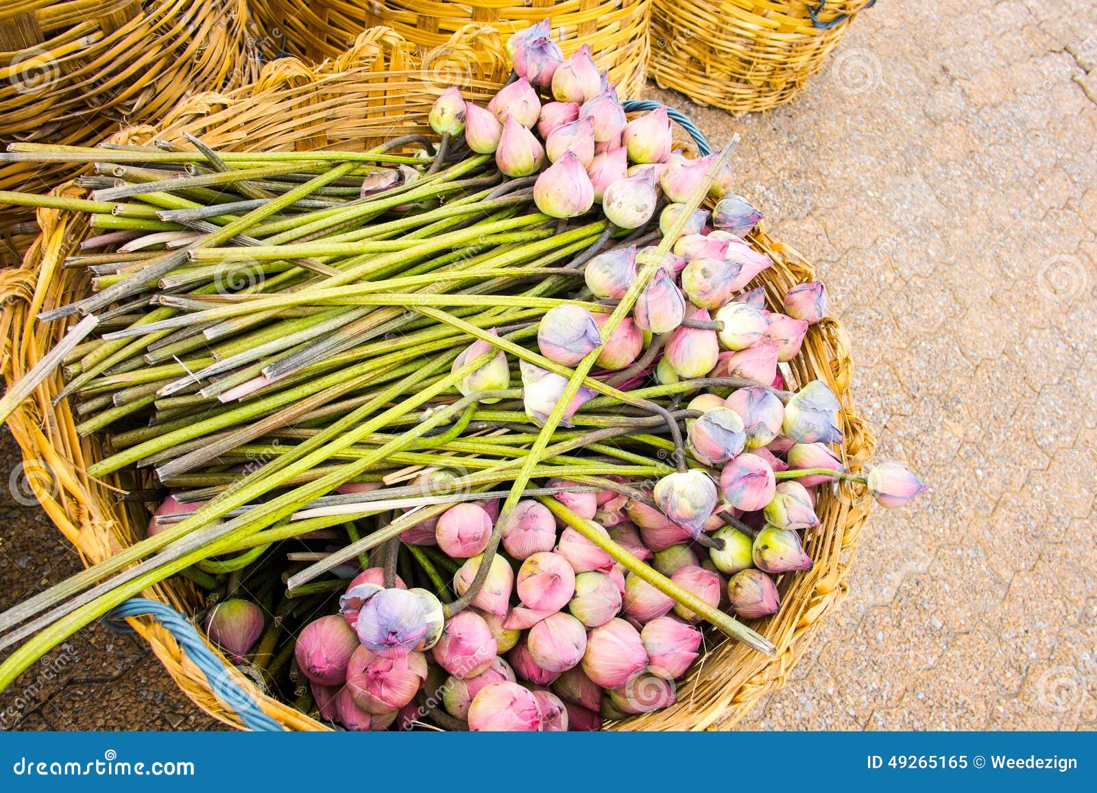 Lotus in basket work stock image. Image of green, lotus - 49265165