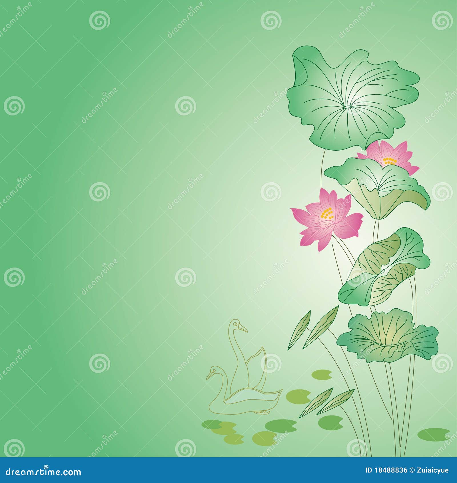 Lotus Drawing Vector Illustration | CartoonDealer.com #18488836