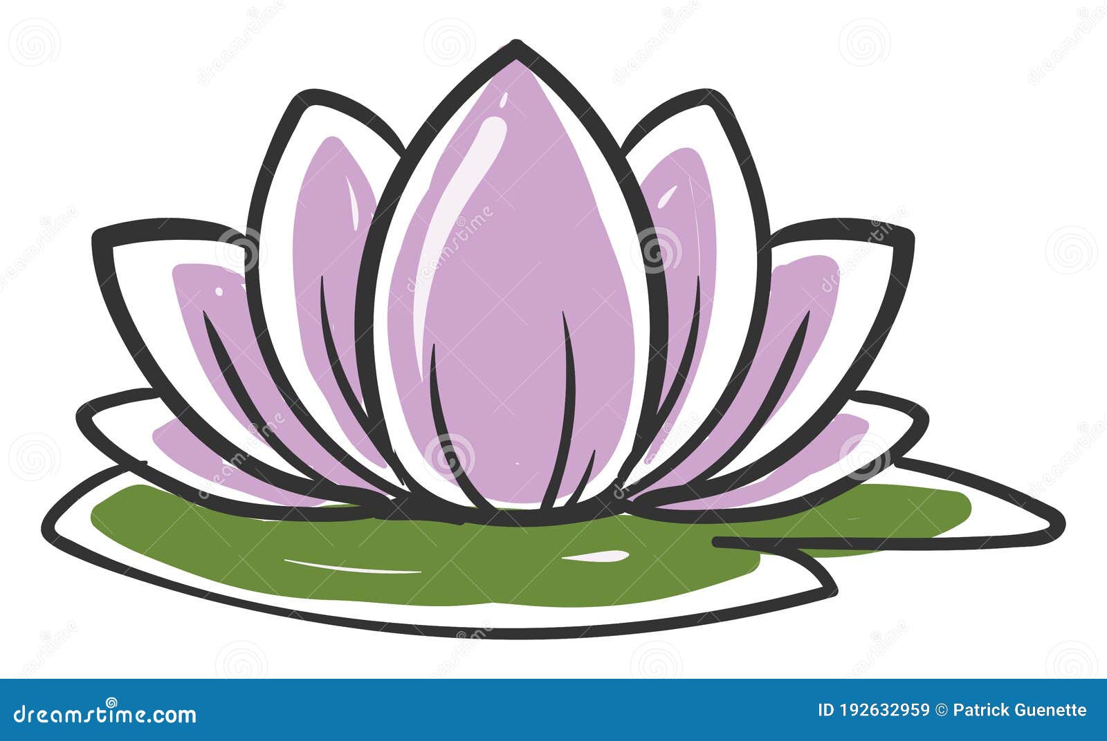 Lotus Drawing Vector Illustration | CartoonDealer.com #18488836