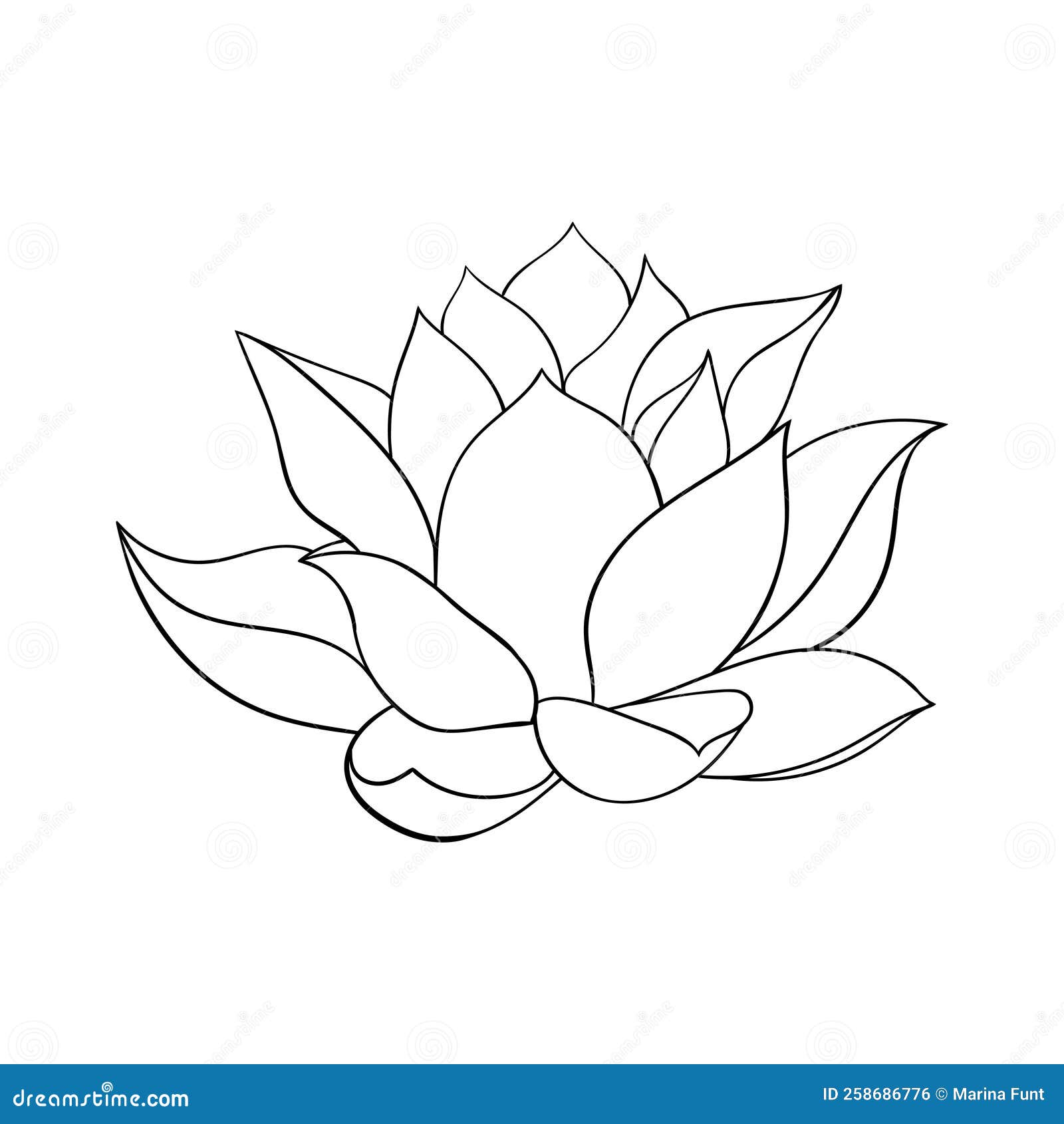Lotus Flower Big Bud. Simple Drawing of a Lotus with Curved Petals ...