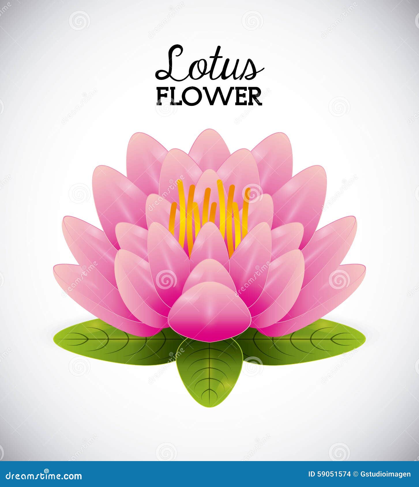 Lotus Flower Graphic Design