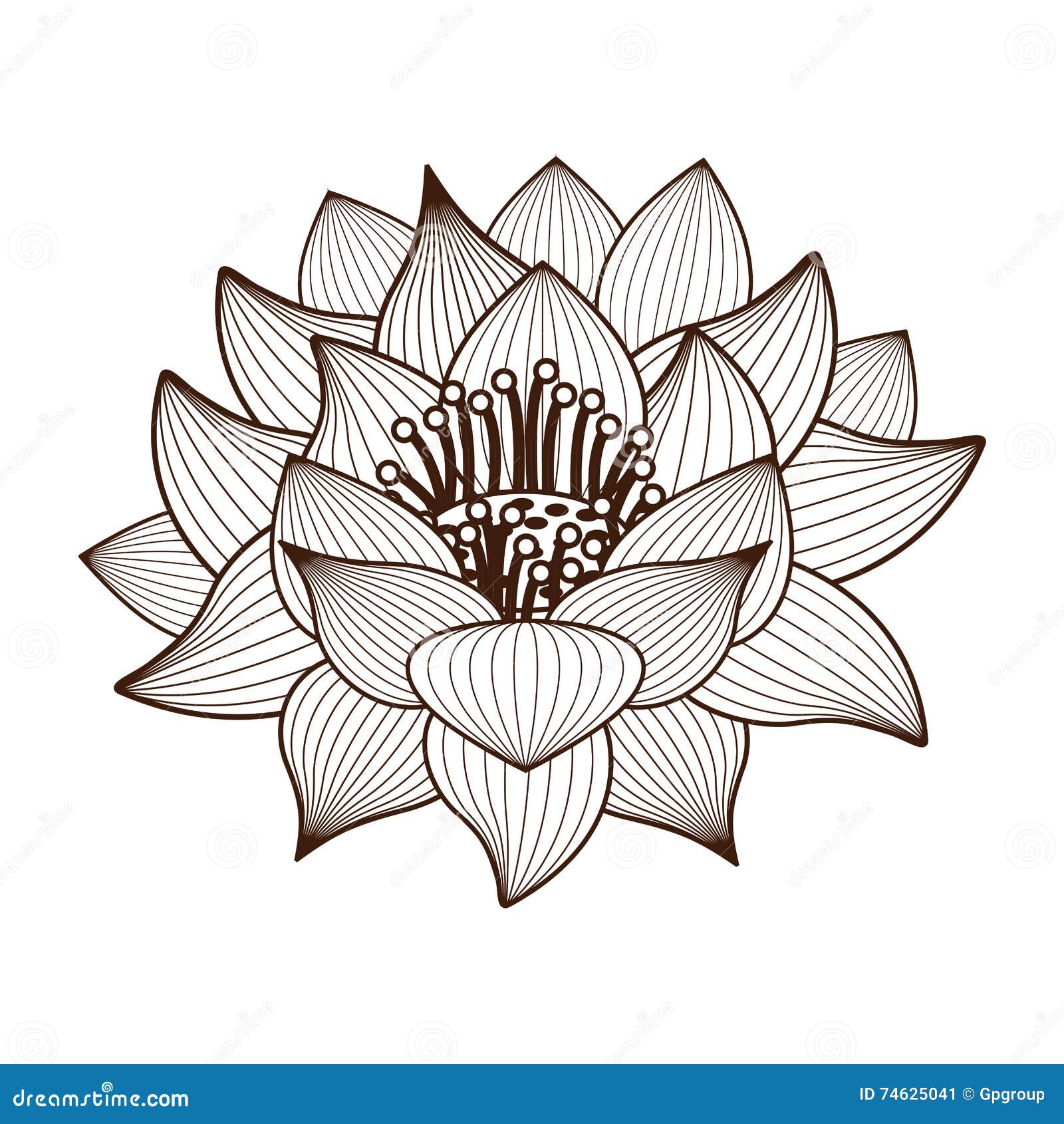 Lotus Flower Drawing Isolated Icon Design Stock Vector - Illustration ...
