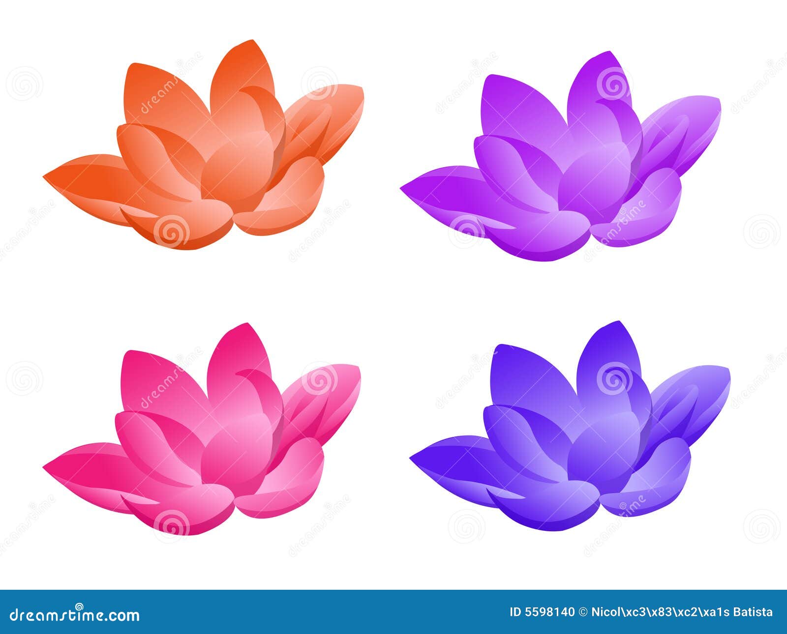 Lotus Flower in Four Colors Stock Illustration - Illustration of exotic ...