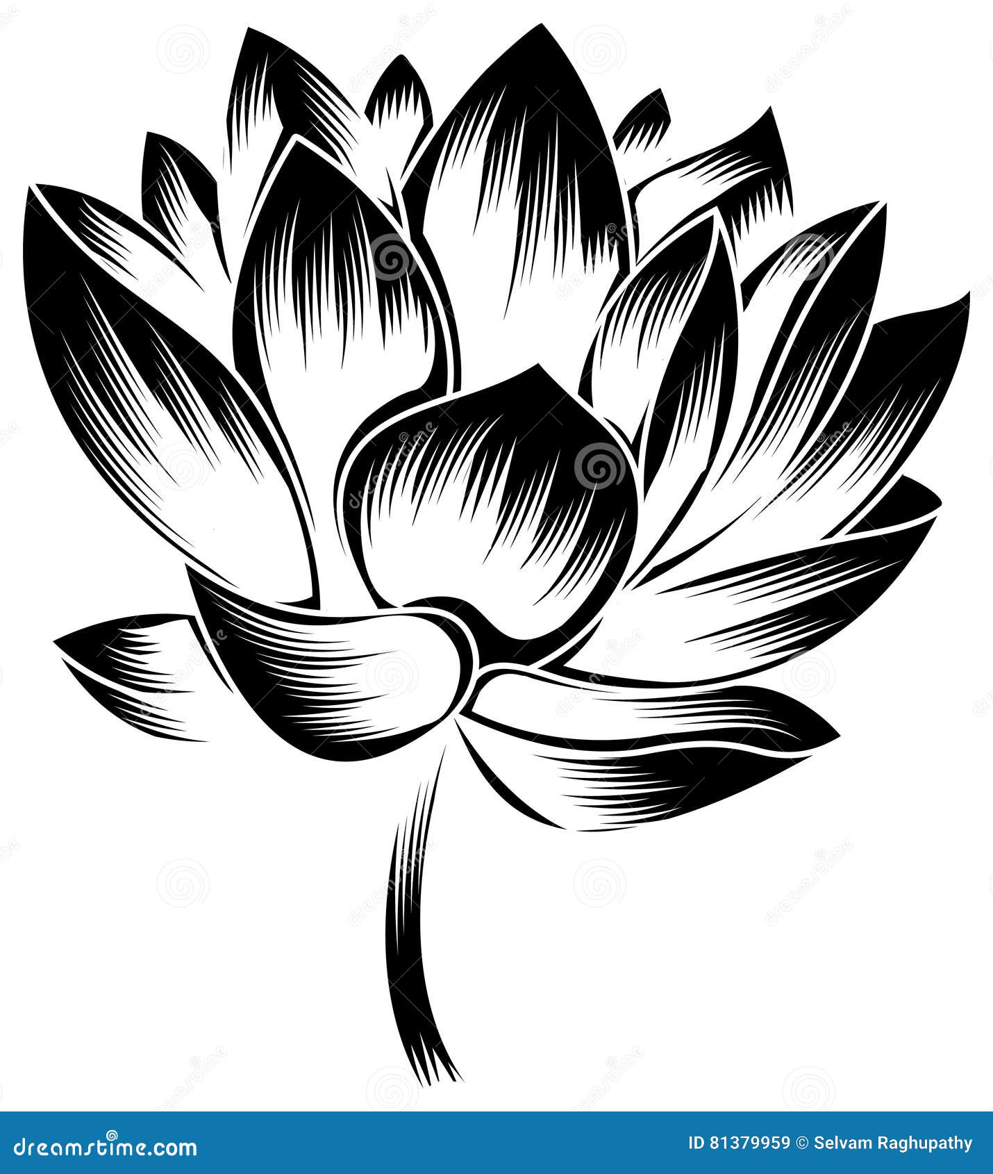 Lotus Flower Vector Free Download