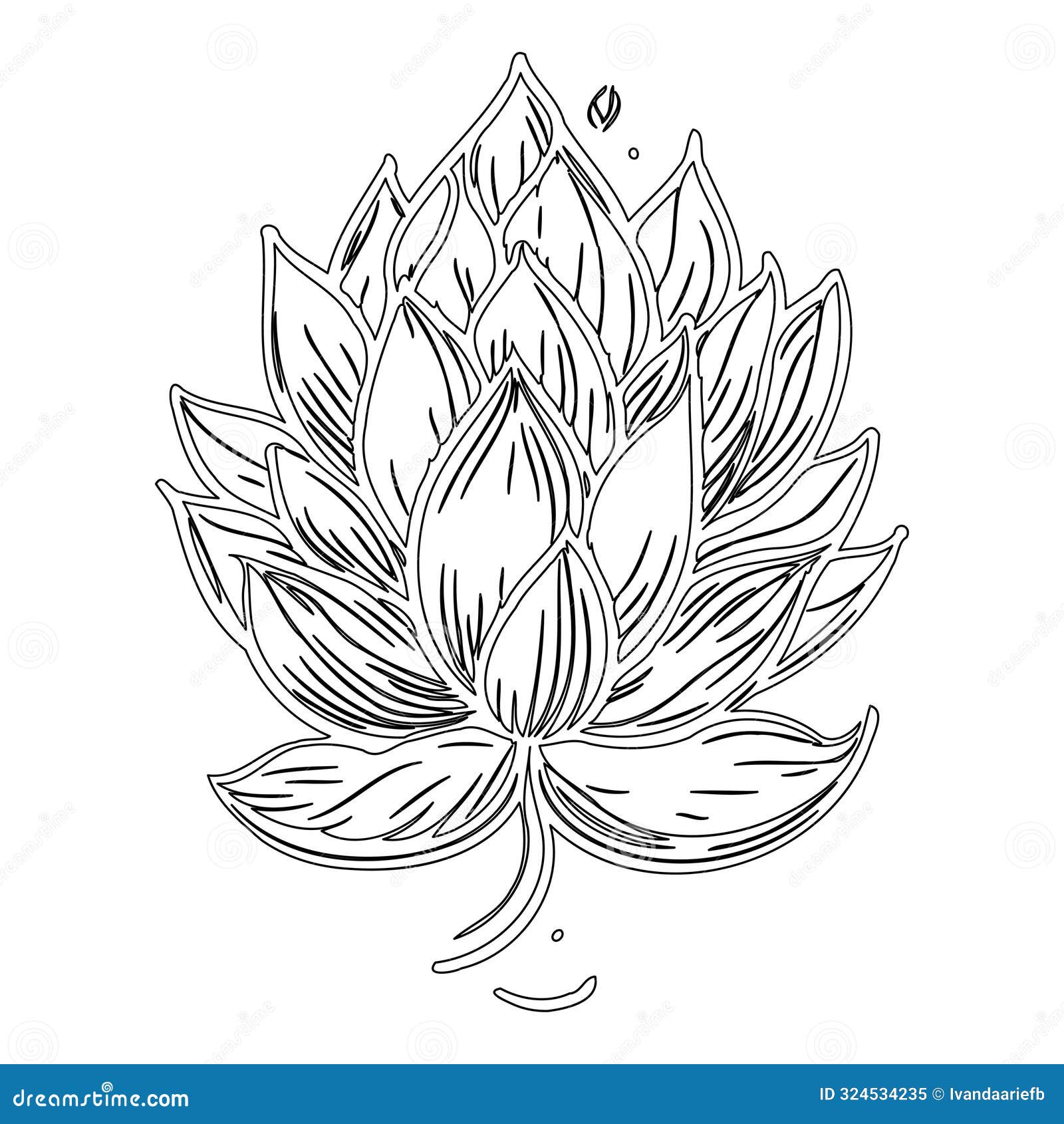 Lotus Flower Outline Illustration Sketch Stock Vector - Illustration of ...