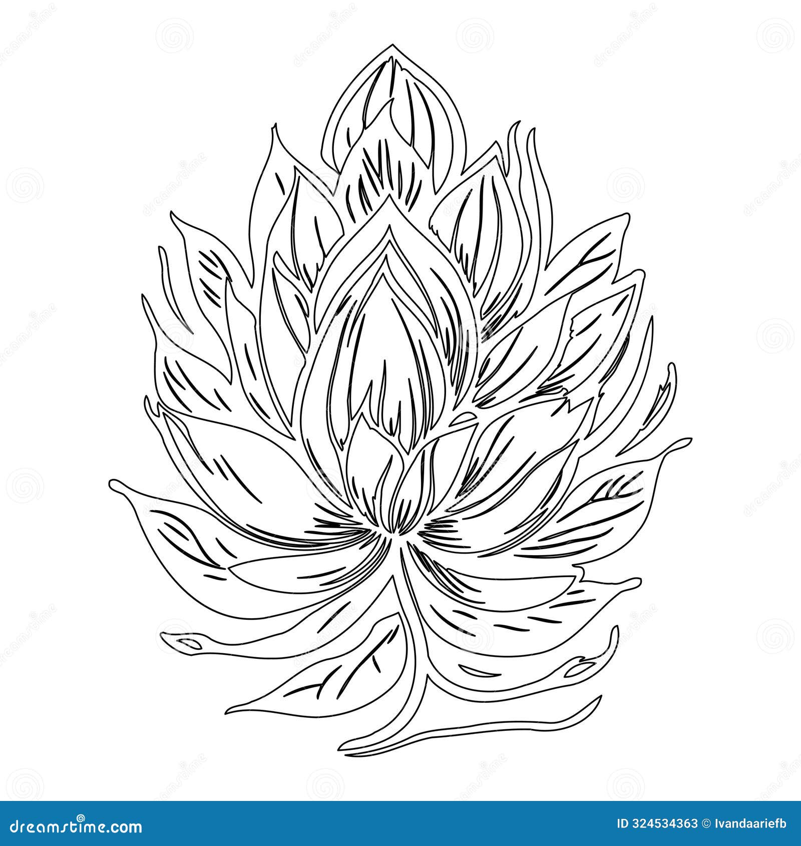 Lotus Flower Outline Illustration Sketch Stock Vector - Illustration of ...