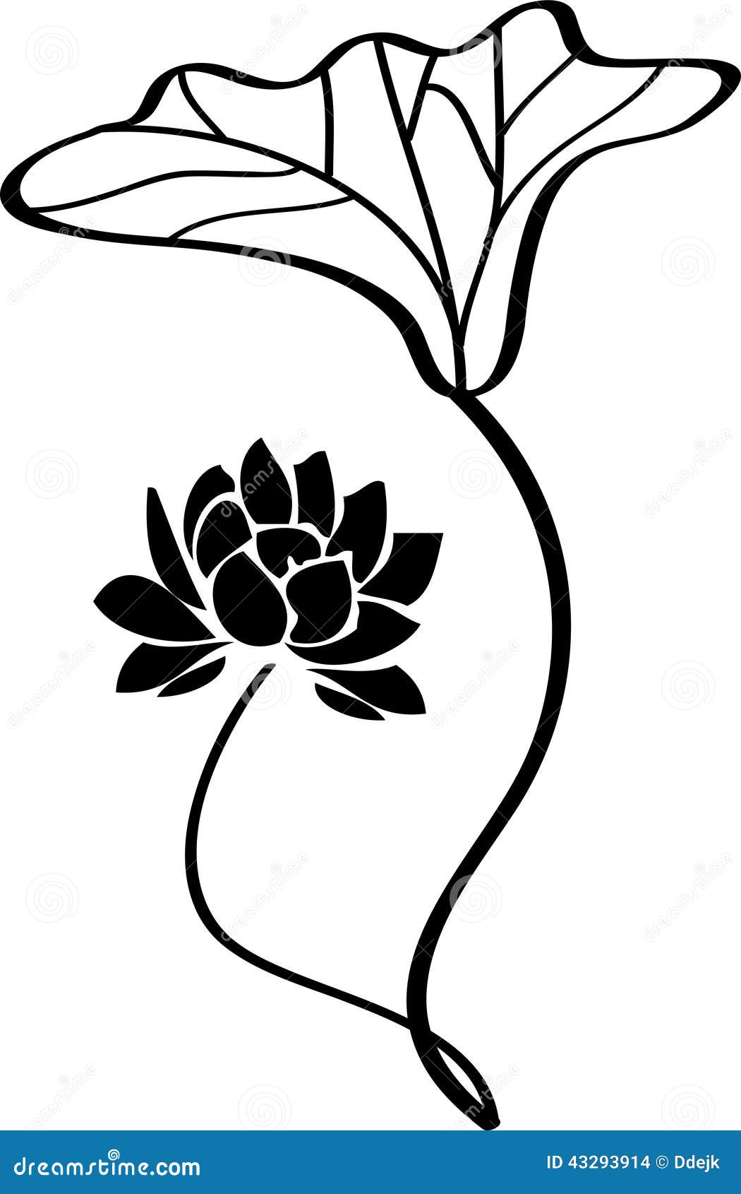 Lotus flower pattern stock vector. Illustration of blossom - 43293914