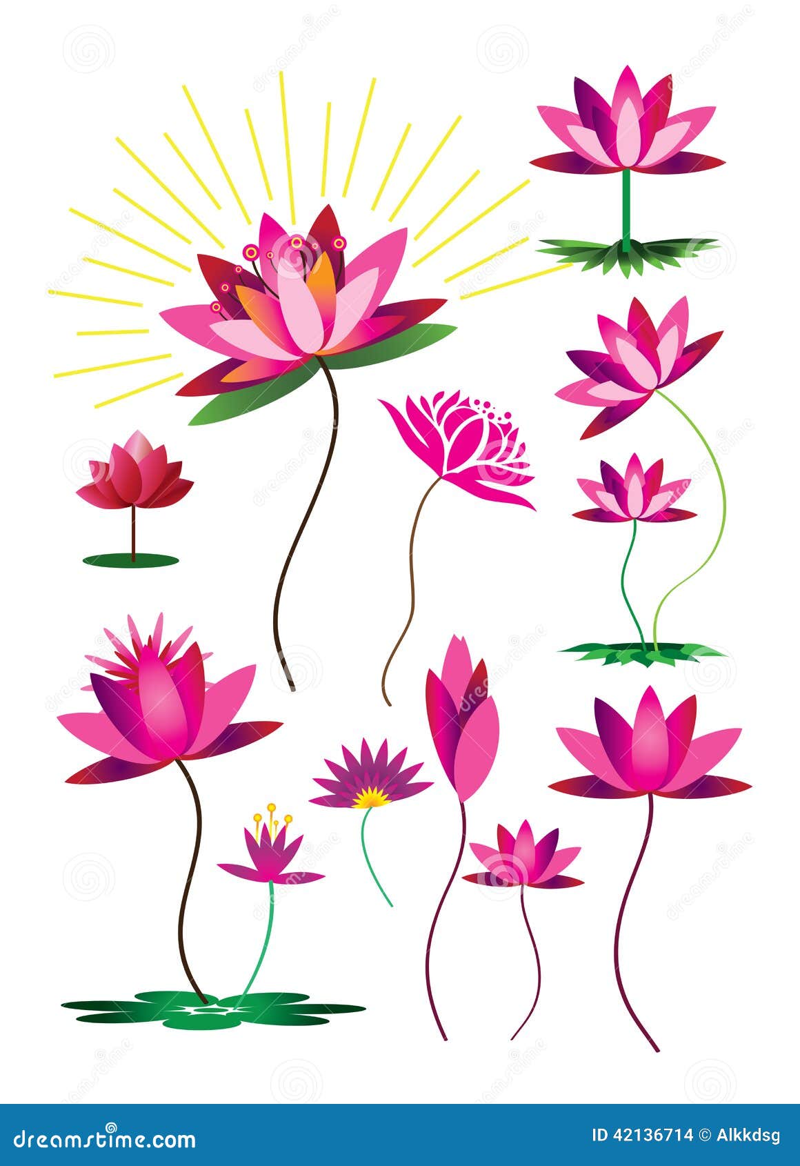 Lotus flower pattern set stock vector. Illustration of element - 42136714