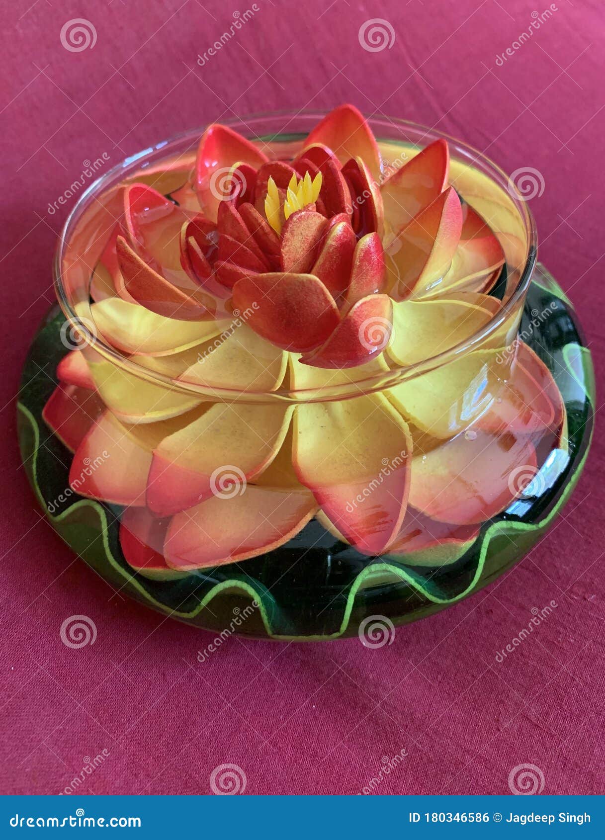 Lotus flower in a pot stock photo. Image of beauty, artistic - 180346586