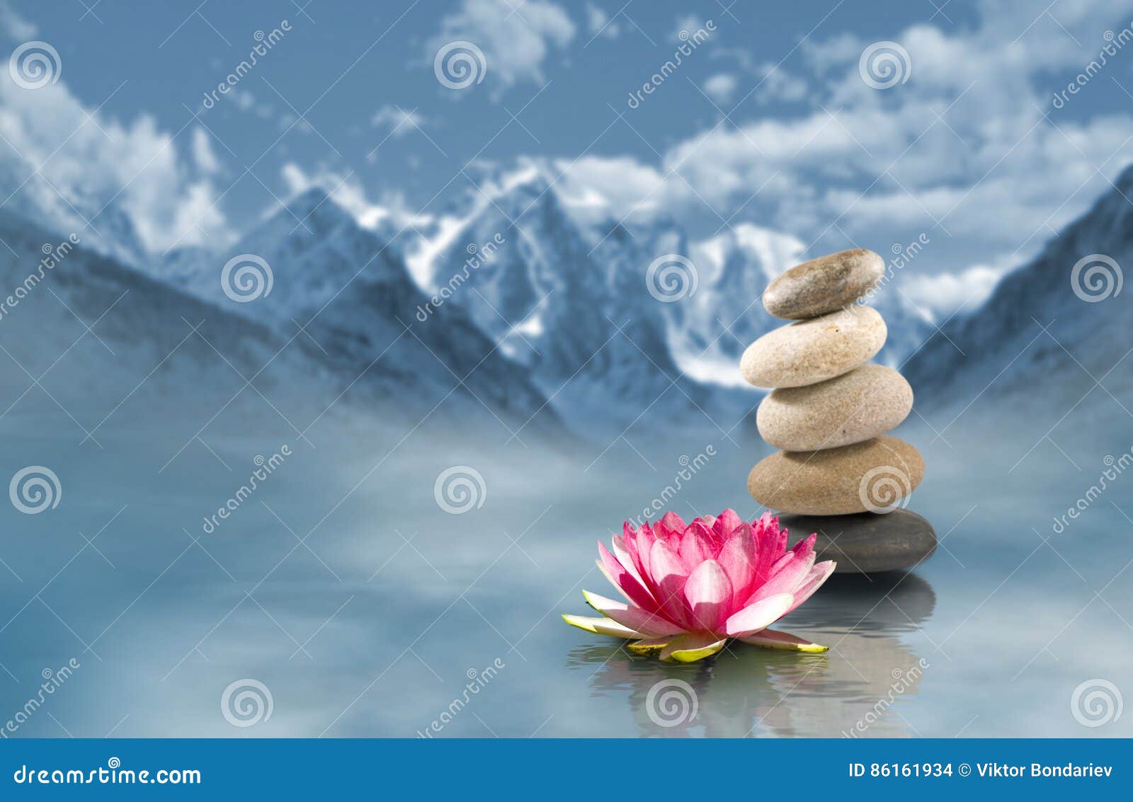 Lotus Flower and Rocks on the Water Stock Photo - Image of natural ...