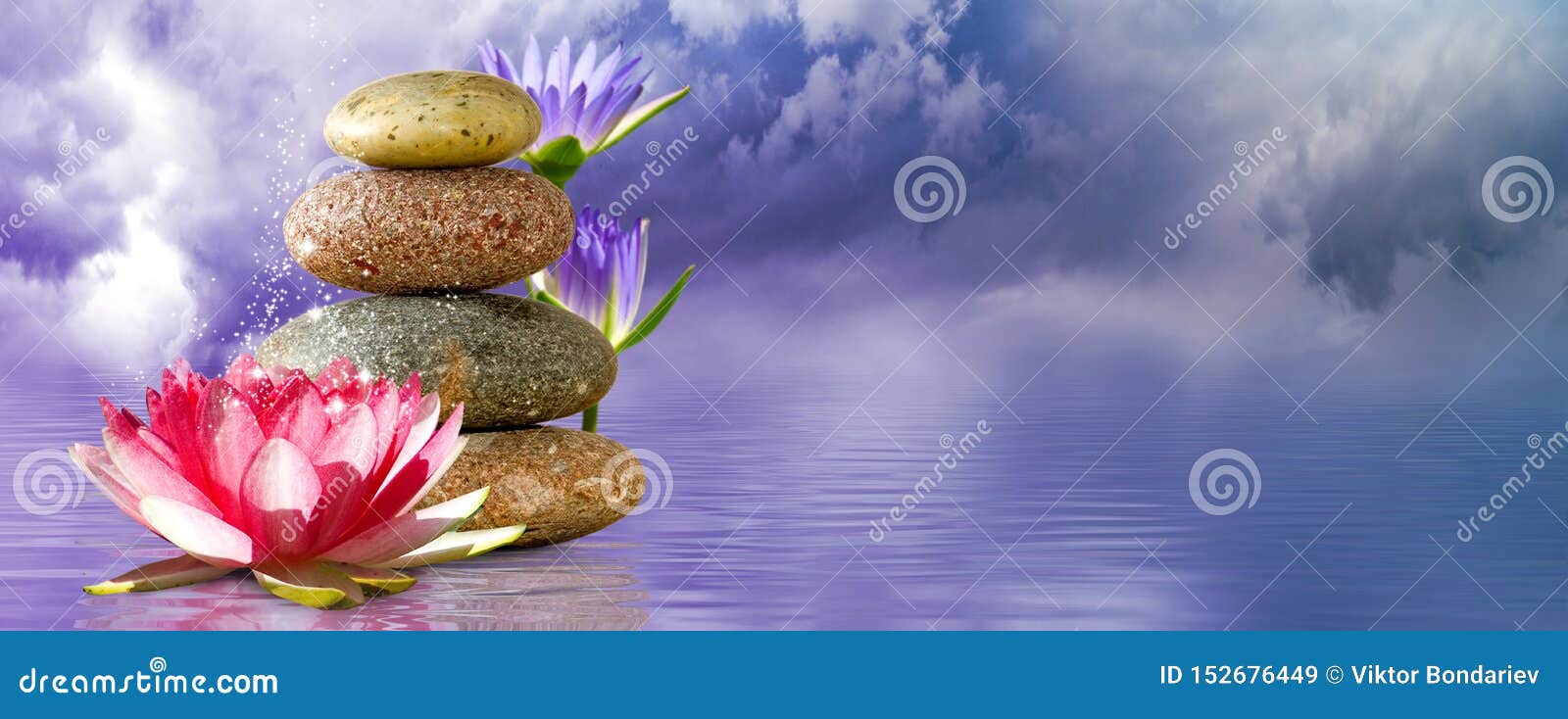 Lotus Flower and Stones on Water Stock Image - Image of heap, nature ...