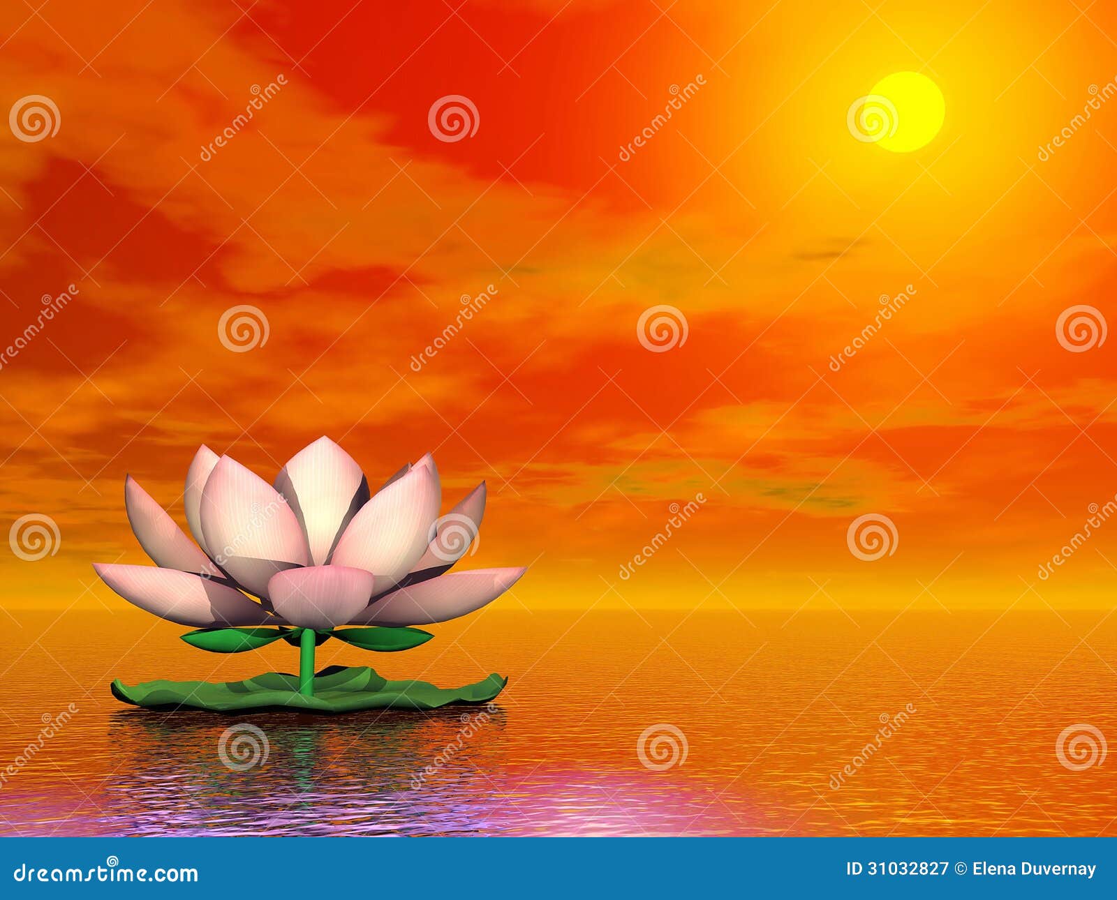 Lotus Flower by Sunset - 3D Render Stock Illustration - Illustration of ...