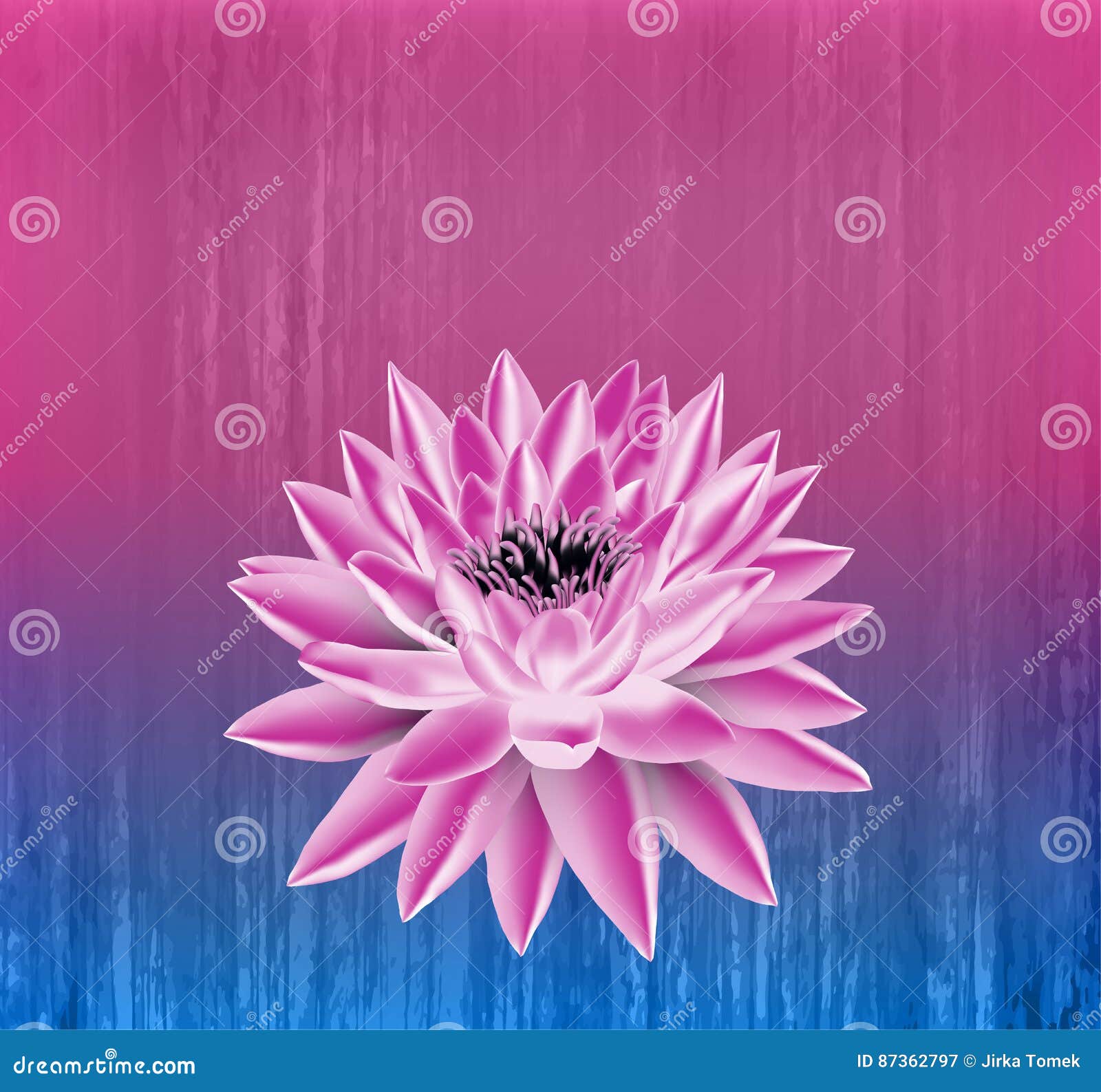 Lotus Flower. Vector Floral Background Stock Vector - Illustration of ...