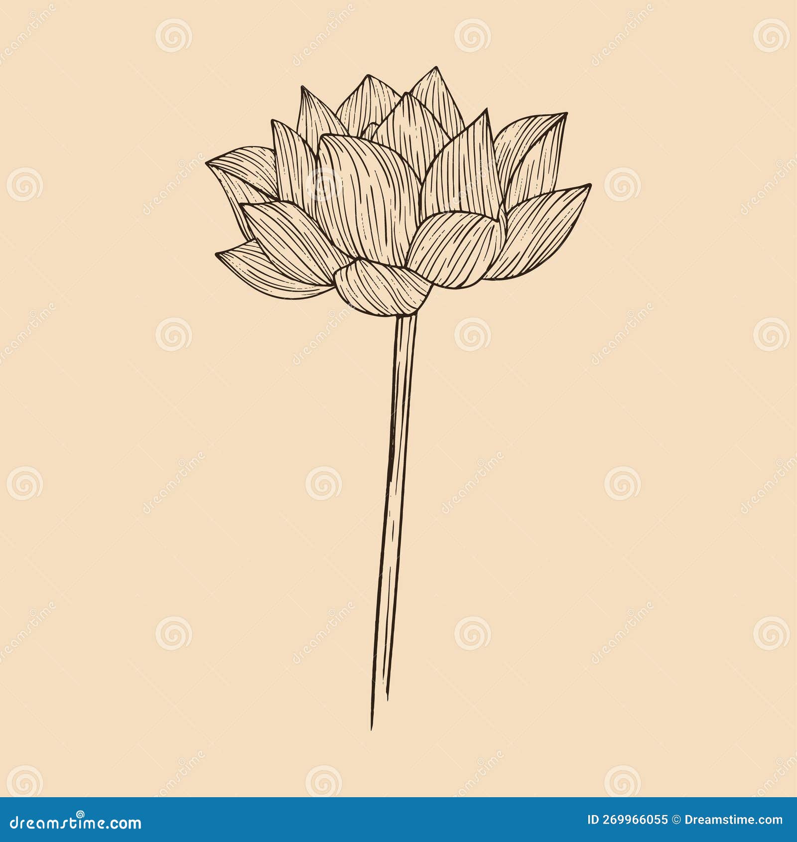 Lotus Flower Vector Illustration with Line Art Stock Vector ...
