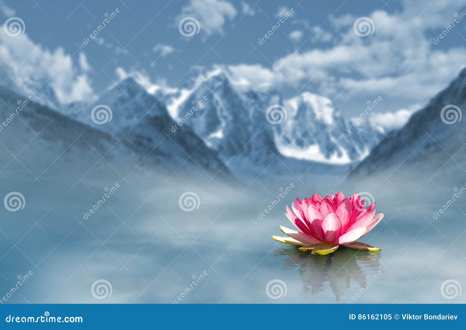 Lotus Flower on the Water on Mountains Background Stock Image - Image ...