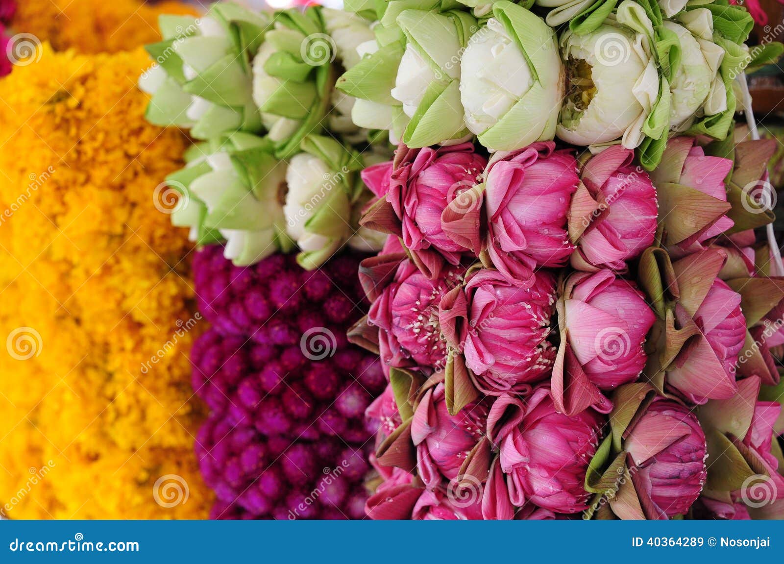 Lotus and flowers for pray stock image. Image of meditation - 40364289