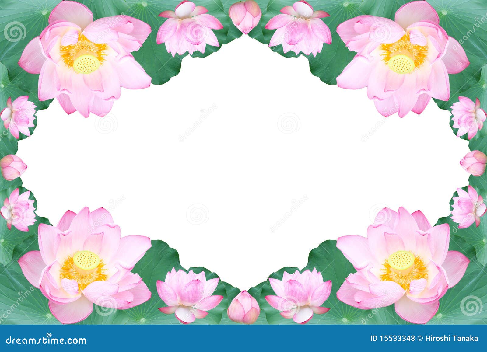 Lotus frame stock illustration. Illustration of field - 15533348