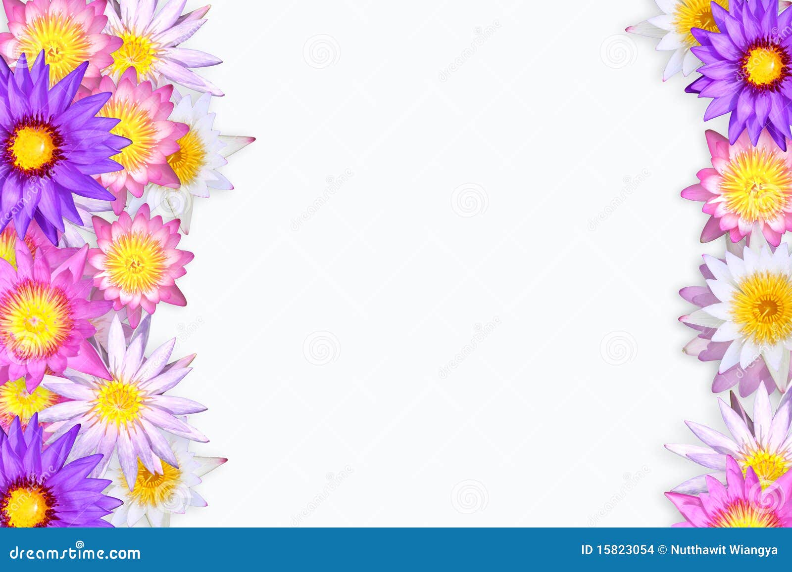 Lotus frame. stock photo. Image of flora, environment - 15823054