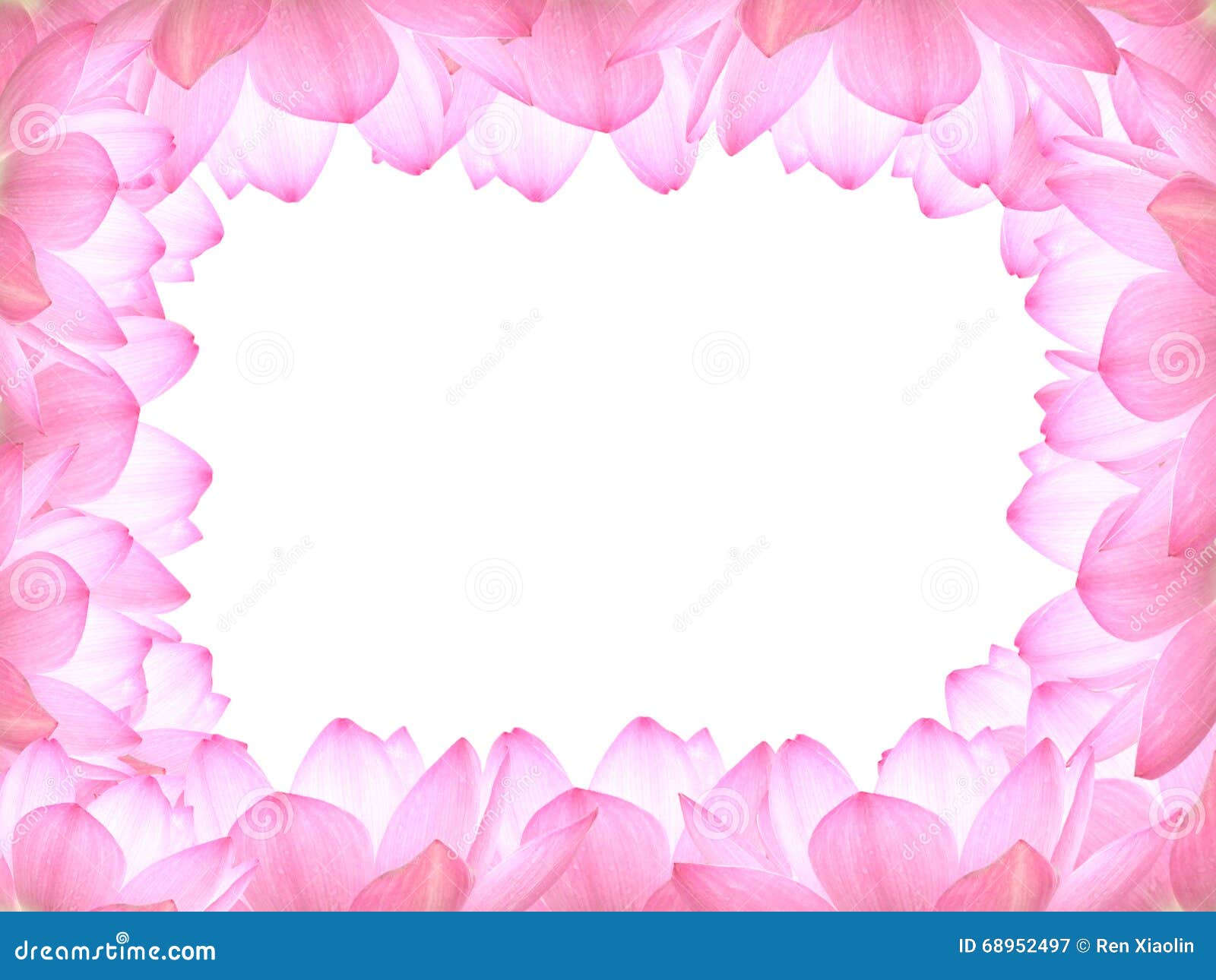 Lotus frame stock image. Image of lotus, superimposed - 68952497