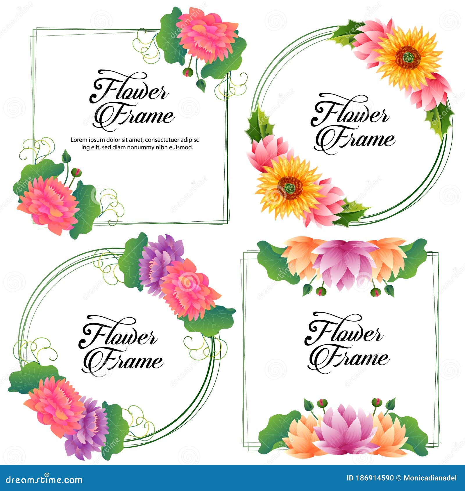 Lotus Frame Sunflower Border Stock Vector - Illustration of garden ...