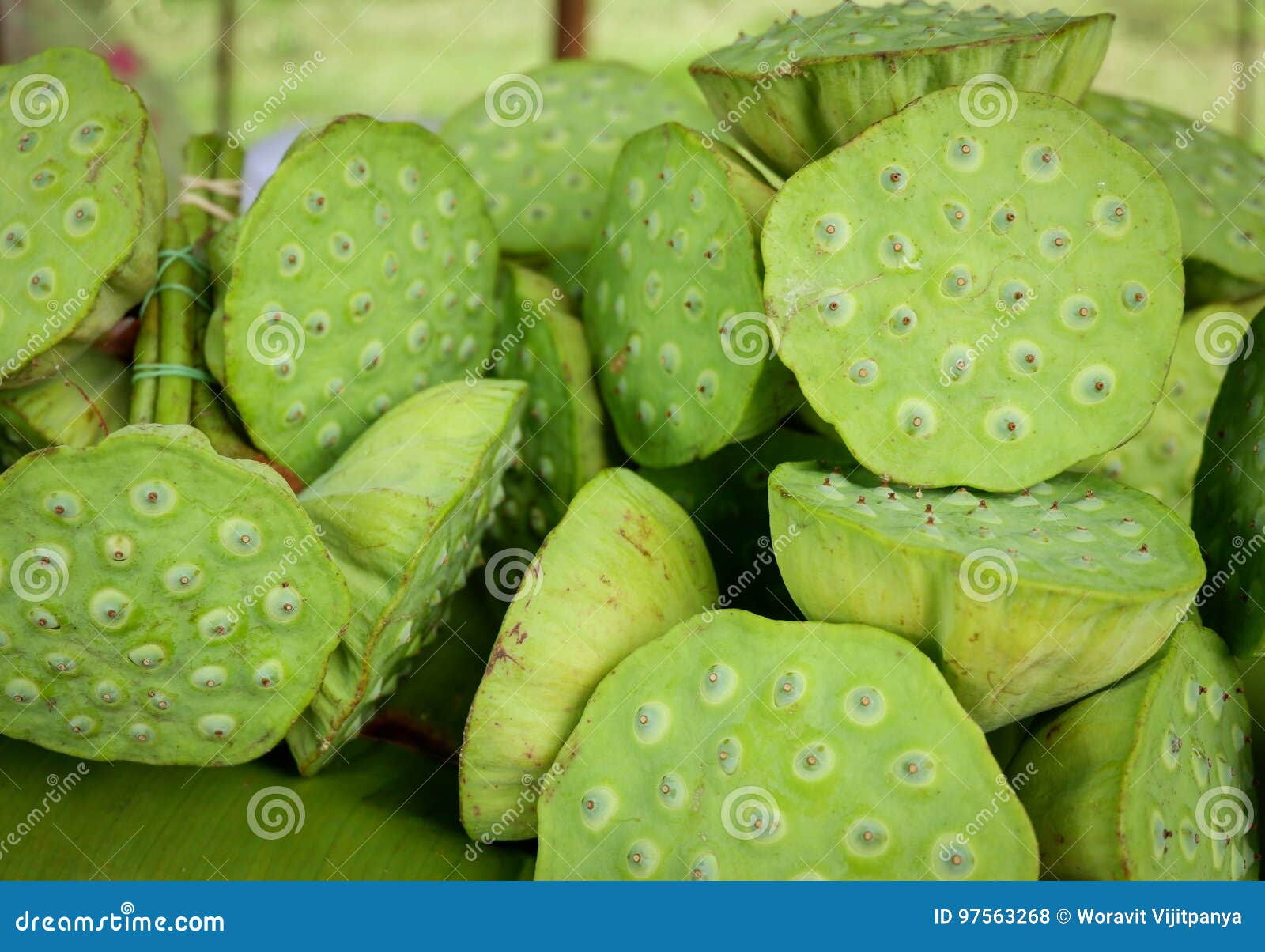 Lotus fruit stock photo. Image of ingredient, dessert - 97563268