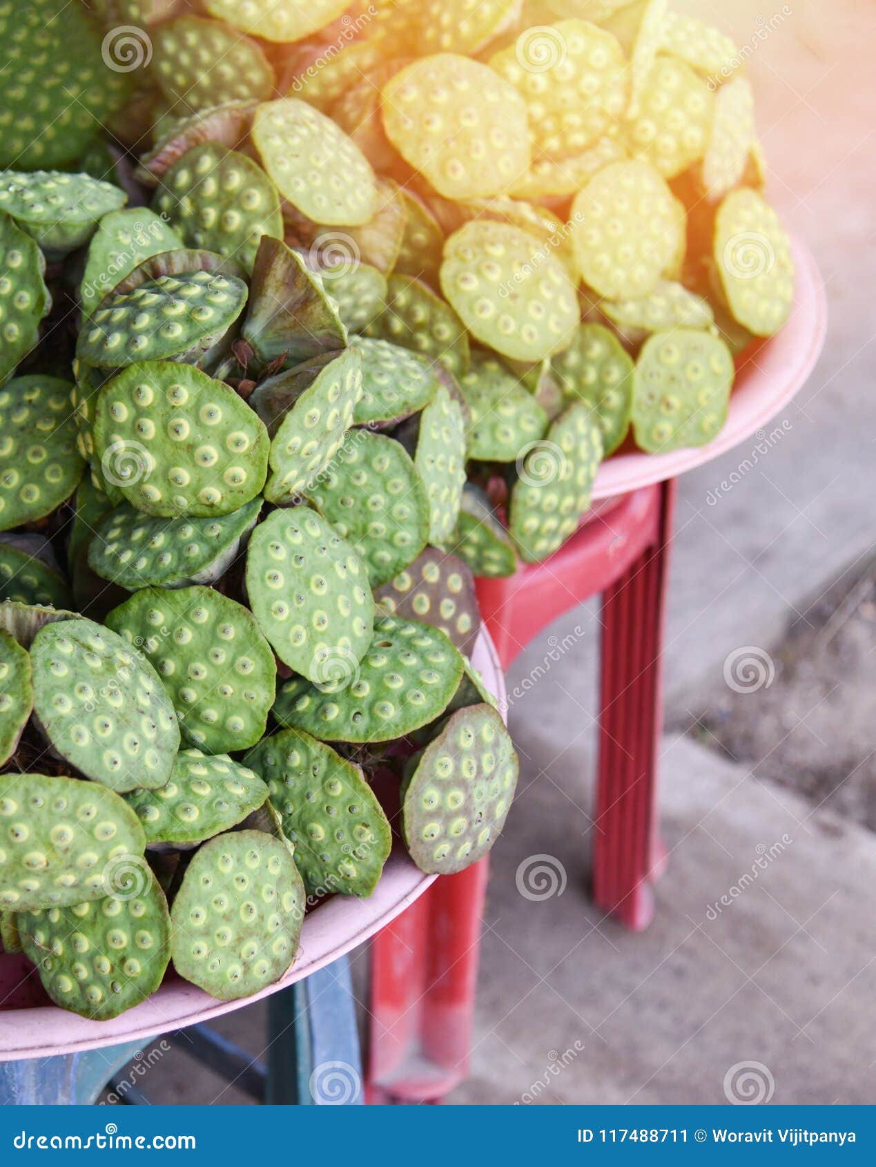 Lotus Fruits stock afbeelding. Image of peul, versheid - 117488711