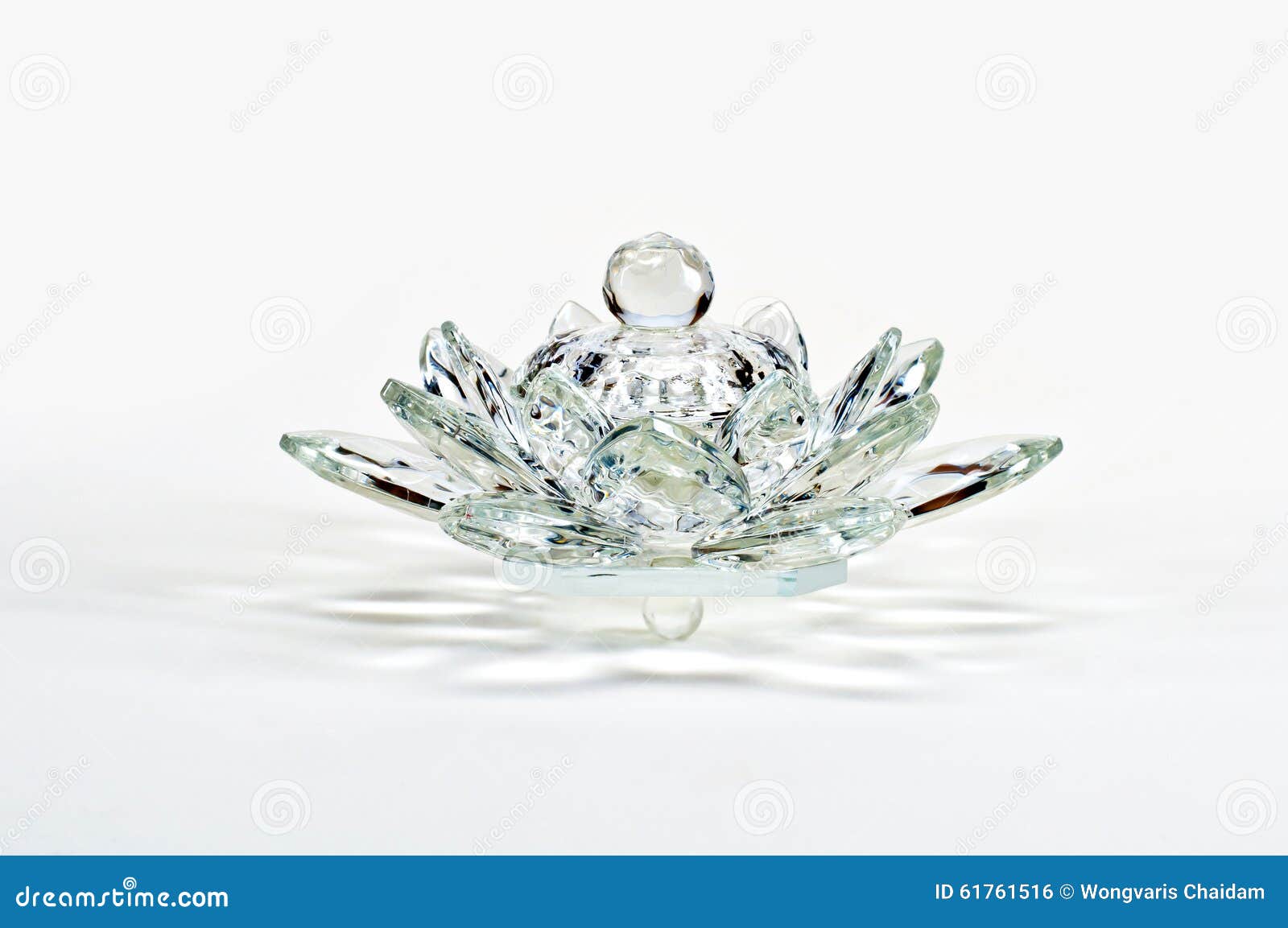 Lotus Glass stock photo. Image of lotus, flowers, blossom - 61761516