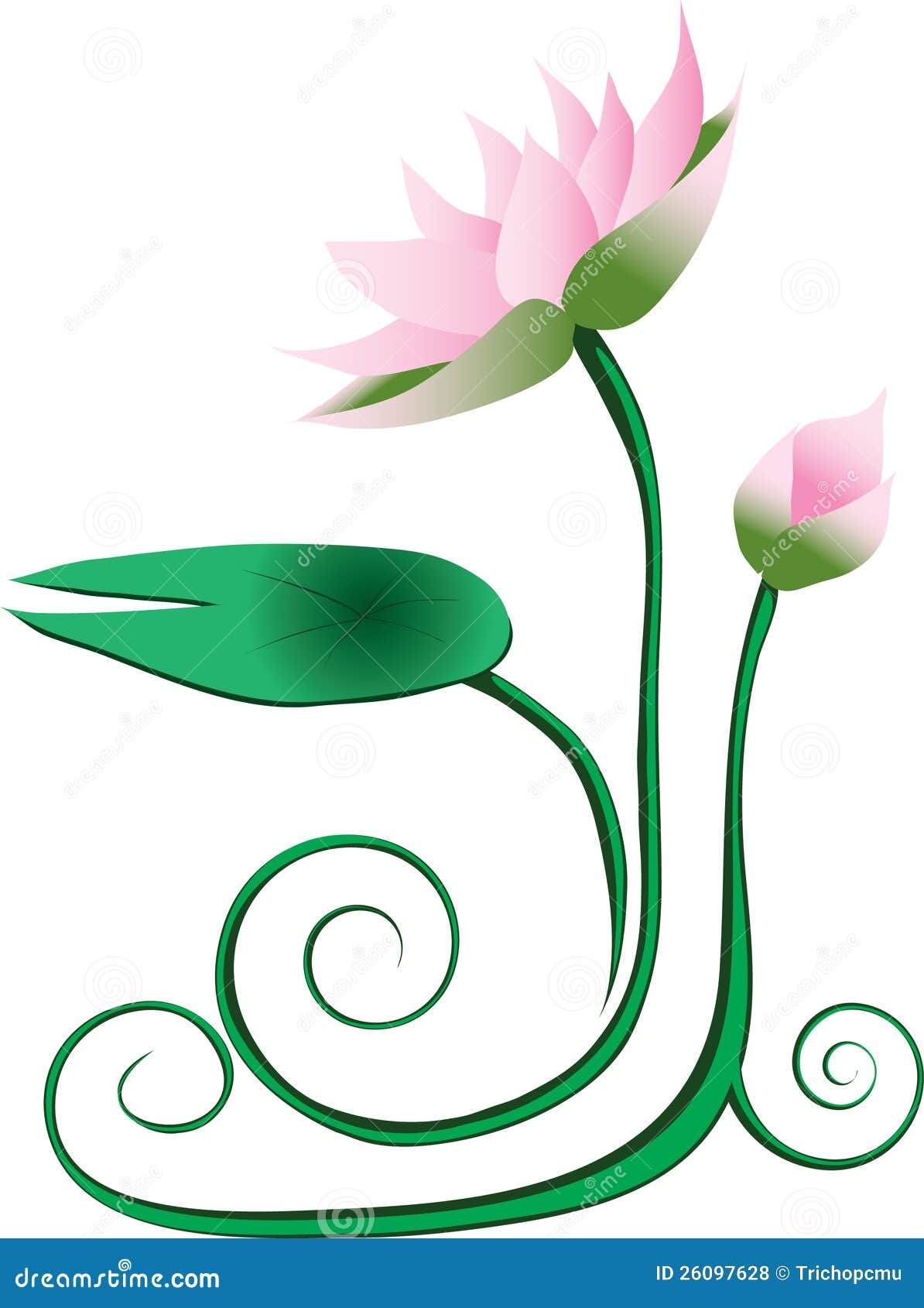 Lotus graphic stock vector. Illustration of graphic, blossom - 26097628